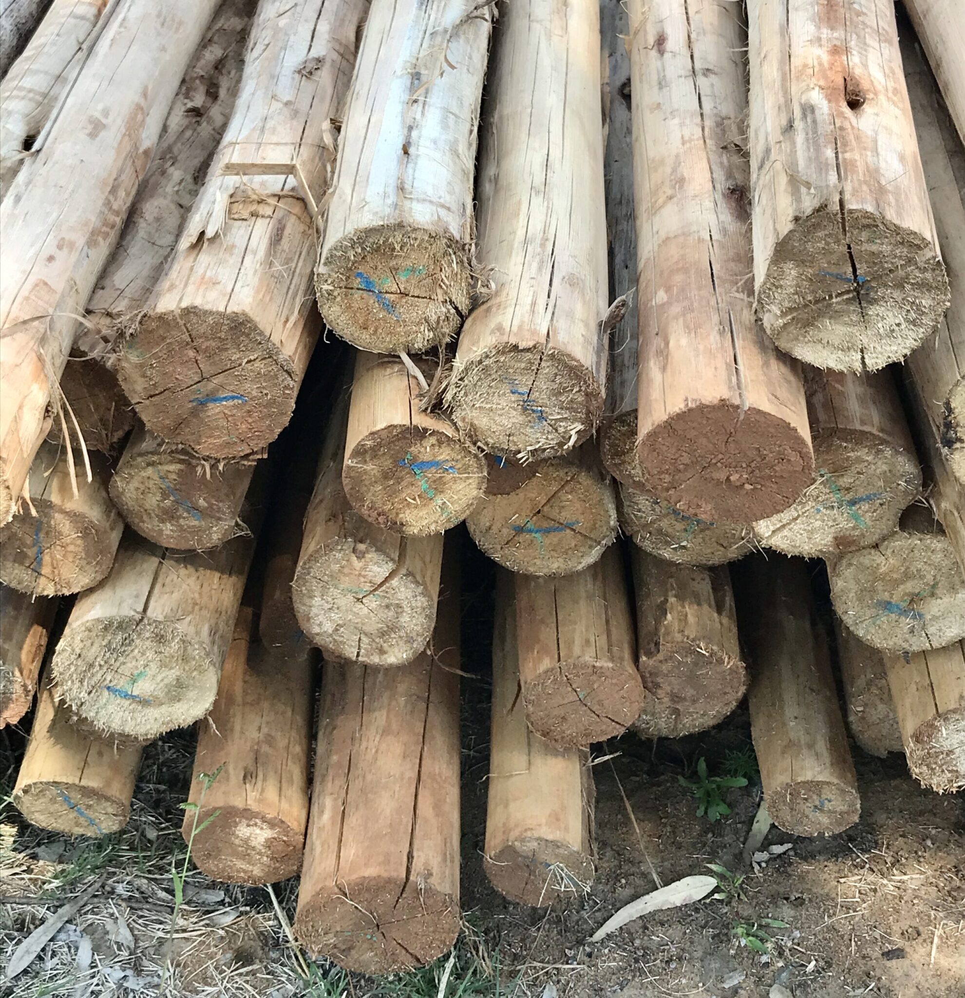 Products - S.A.W. Timbers